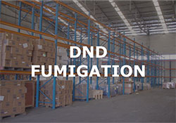 Services | DND Bali Pest Control