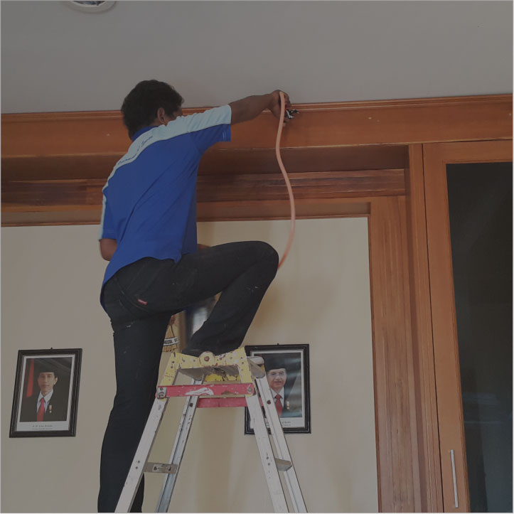 Services | DND Bali Pest Control