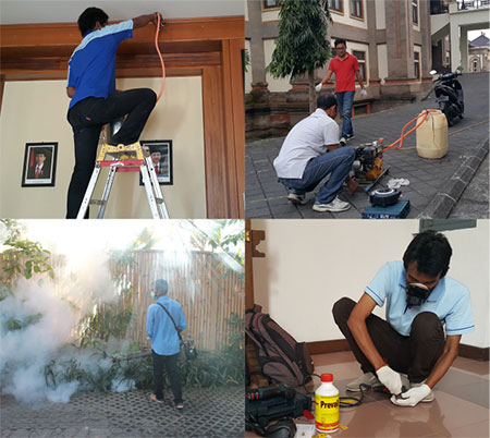 DND Bali Pest Control | Perfect Pest Control System