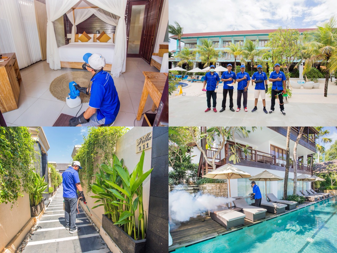 DND Bali Pest Control | Perfect Pest Control System